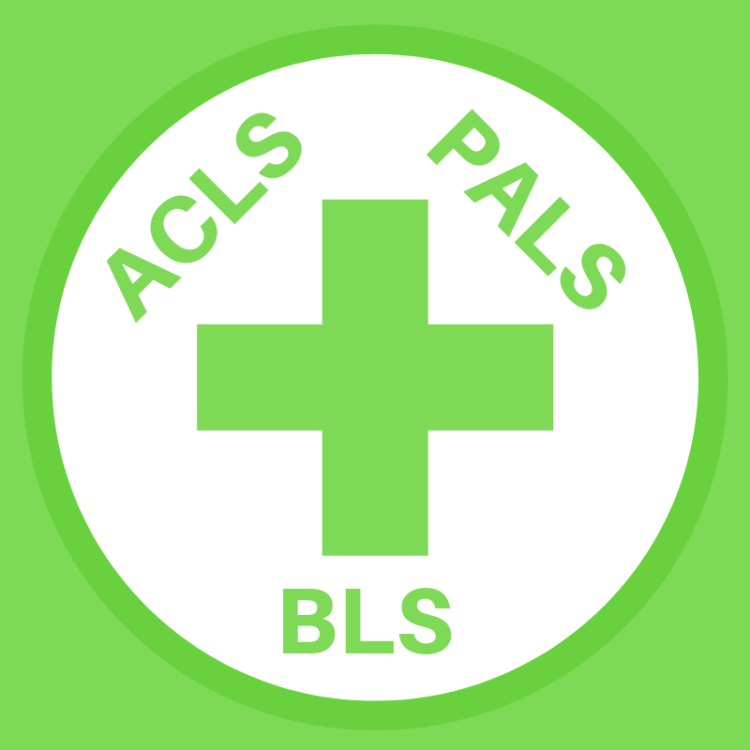 ACLS/PALS/BLS Recertification – Summit Anesthesia Seminars