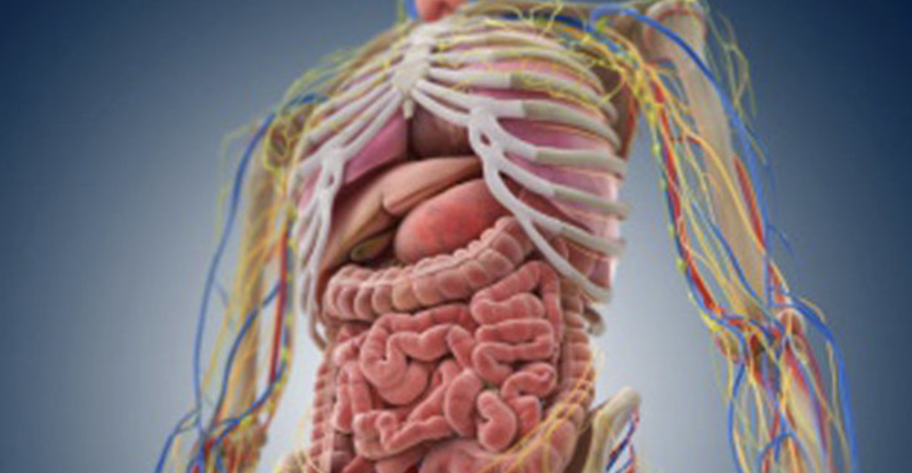 CPC Core Modules – Summit Anesthesia Seminars