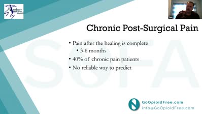 1-ap-of-surgical-pain-baribeault-mp4 – Summit Anesthesia Seminars