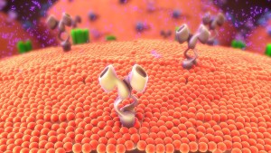 CPC Core Modules – Summit Anesthesia Seminars